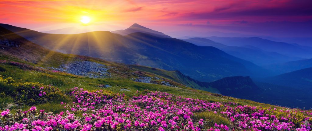 Stewardship Reflection - Blessed the name of the Lord: The Spirituality ...